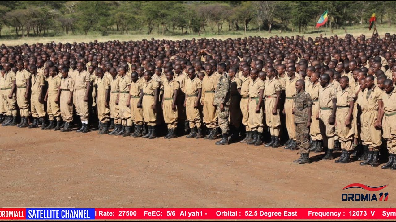 OROMIA11: Oduu 1-16-2025 - OROMIA11- Inform. Educate. Entertain. Inspire