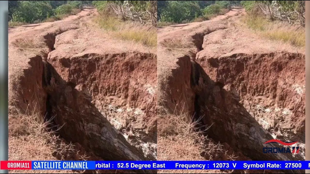 OROMIA11: Oduu 1-30-2025 - OROMIA11- Inform. Educate. Entertain. Inspire