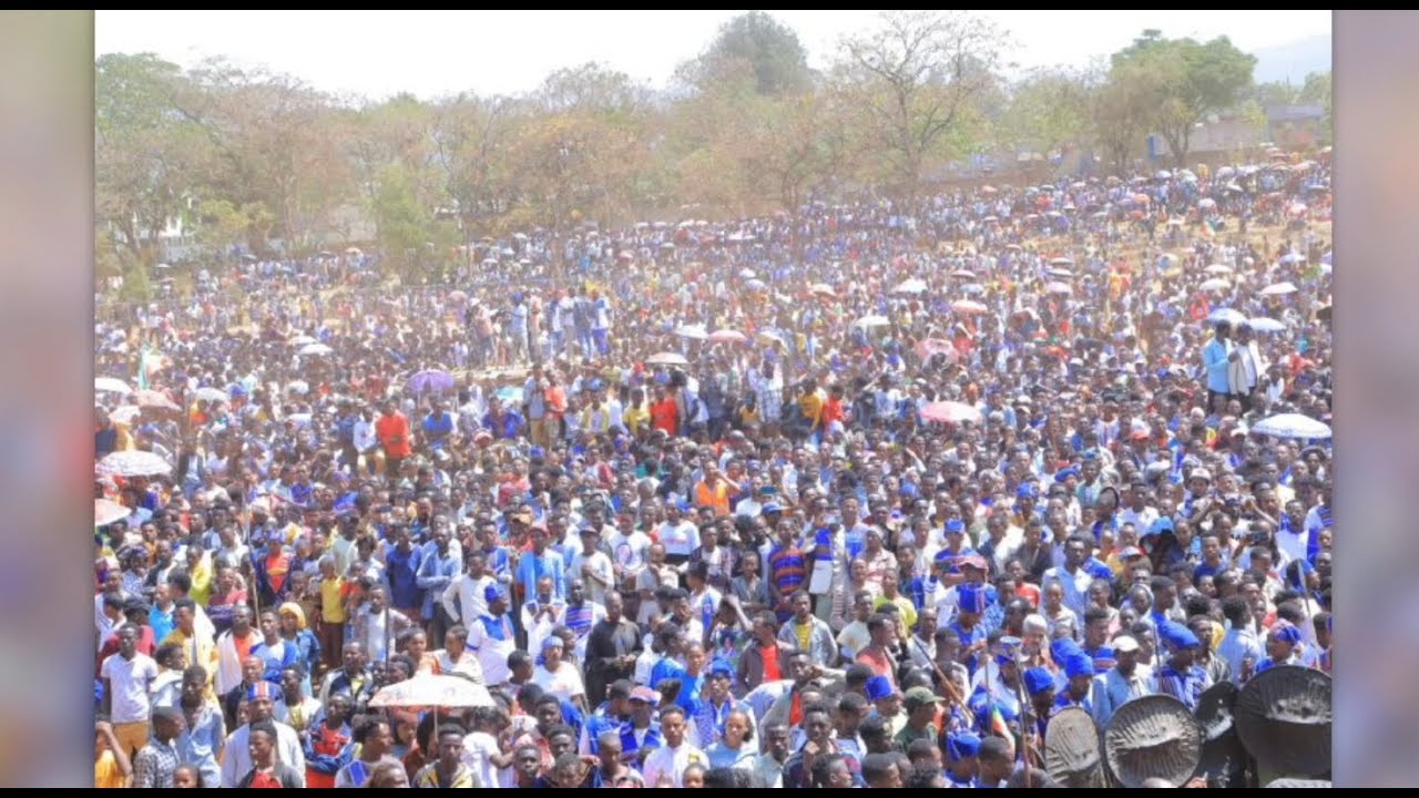 OROMIA11: Oduu Gaggabaaboo 2-8-2025 - OROMIA11- Inform. Educate ...