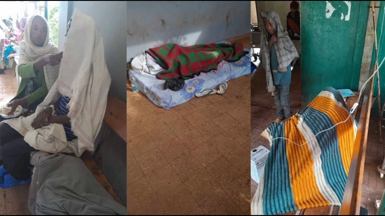 OROMIA11: Oduu 2-21-2025 - OROMIA11- Inform. Educate. Entertain. Inspire