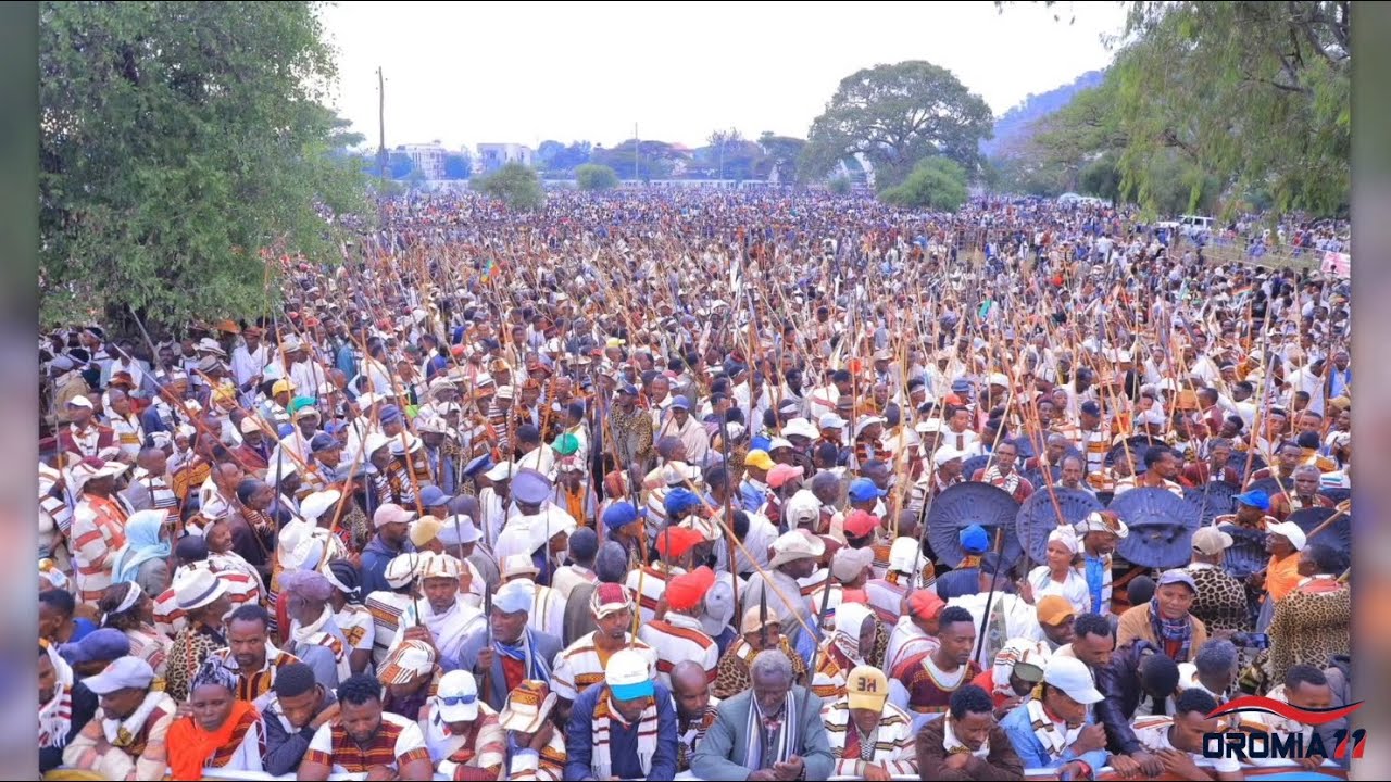 OROMIA11: Oduu 3-28-2025 - OROMIA11- Inform. Educate. Entertain. Inspire