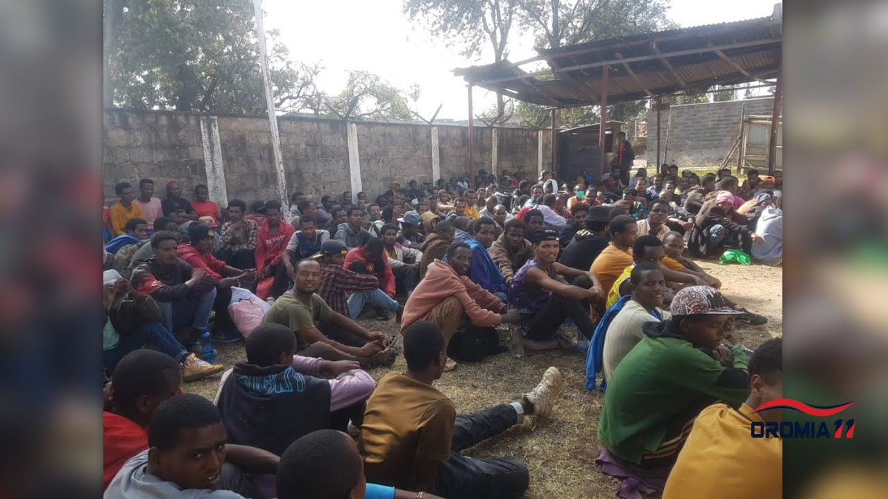 OROMIA11: Oduu 3-6-2025 - OROMIA11- Inform. Educate. Entertain. Inspire