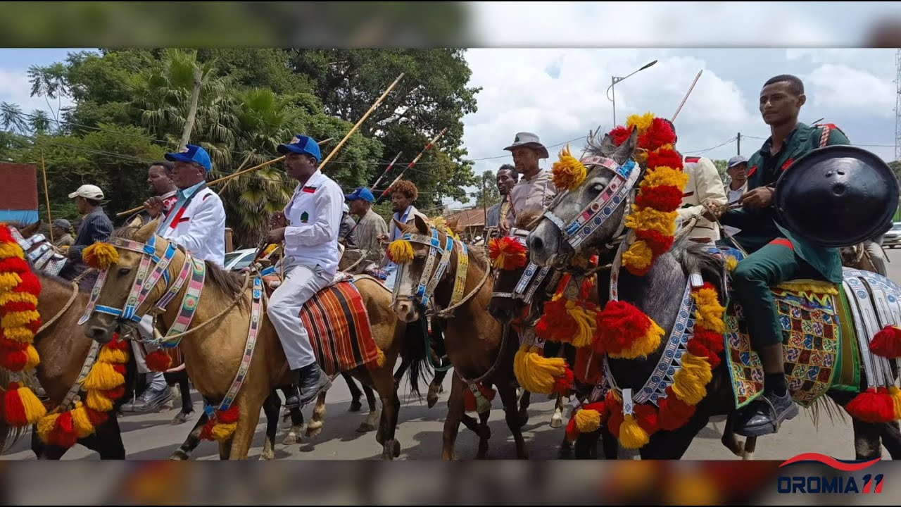 OROMIA11: Oduu 7-1-2025 - OROMIA11- Inform. Educate. Entertain. Inspire