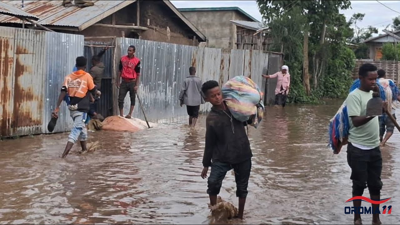 OROMIA11: ሰሞነኛ መረጃ 8-22-2025 - OROMIA11- Inform. Educate. Entertain ...