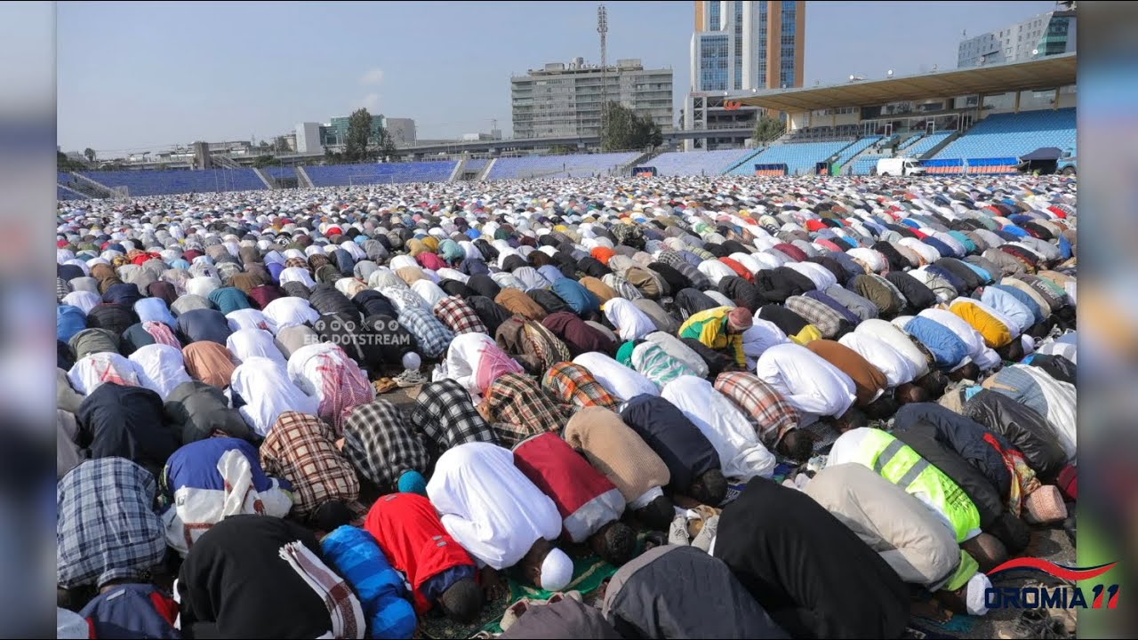 OROMIA11: Oduu 6-6-2025 - OROMIA11- Inform. Educate. Entertain. Inspire