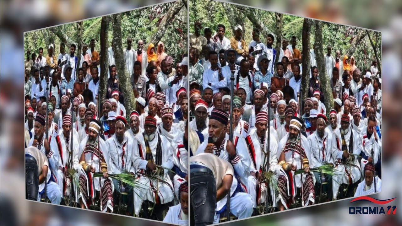 OROMIA11: Oduu 7-14-2025 - OROMIA11- Inform. Educate. Entertain. Inspire