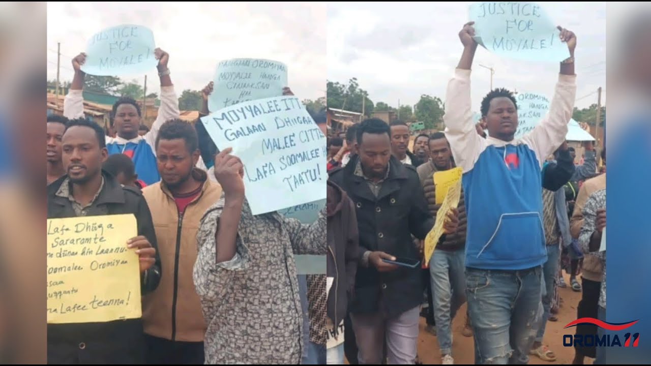 OROMIA11: Oduu 7-30-2025 - OROMIA11- Inform. Educate. Entertain. Inspire