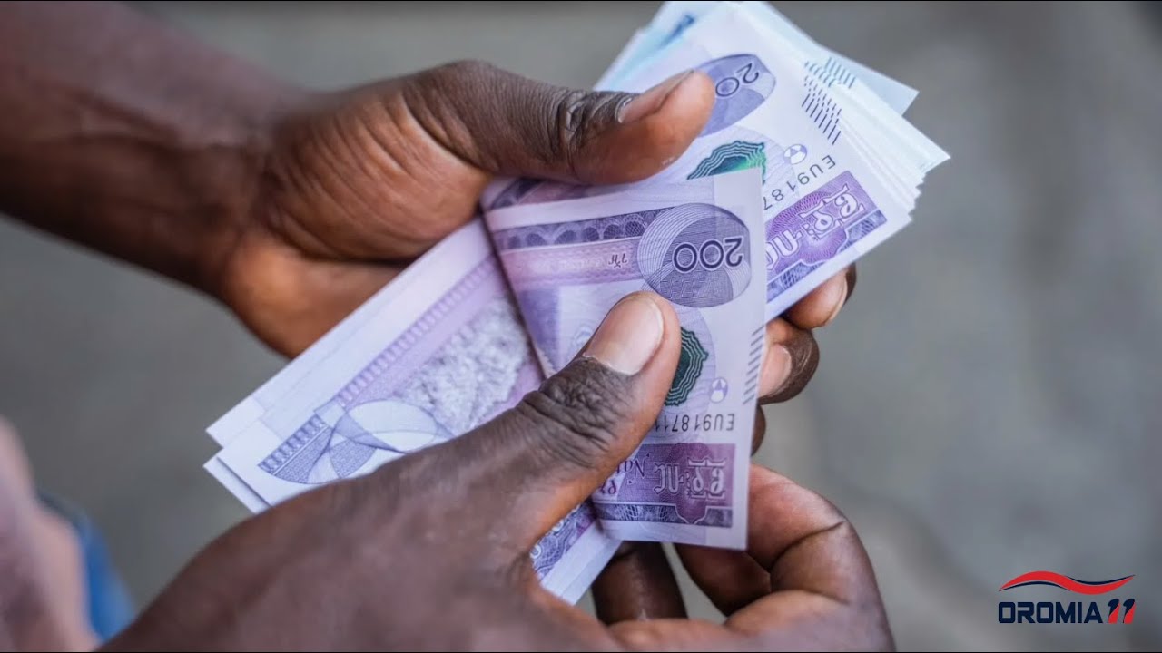 OROMIA11: Oduu 8-13-2025 - OROMIA11- Inform. Educate. Entertain. Inspire