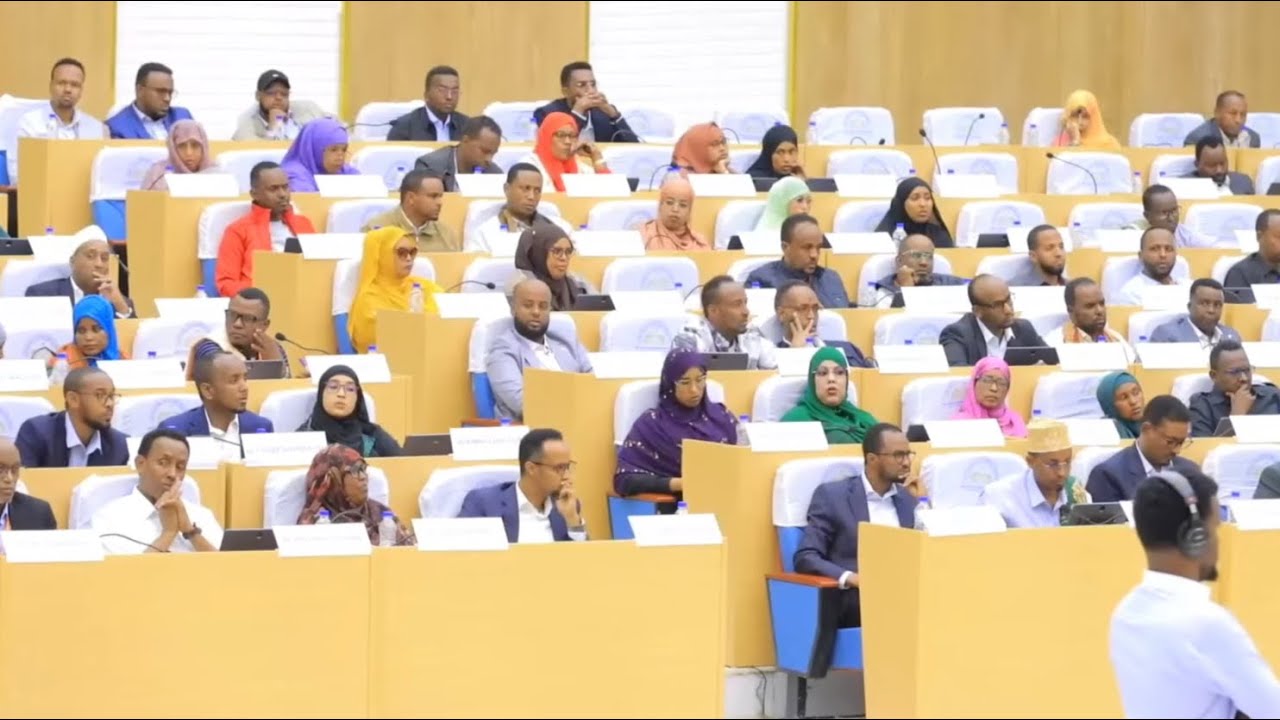 OROMIA11: Oduu 8-2-2025 - OROMIA11- Inform. Educate. Entertain. Inspire