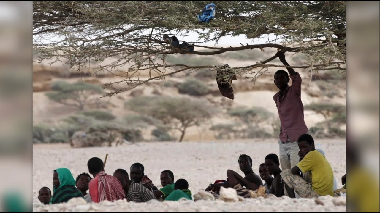 OROMIA11: Oduu 8-22-2025 - OROMIA11- Inform. Educate. Entertain. Inspire