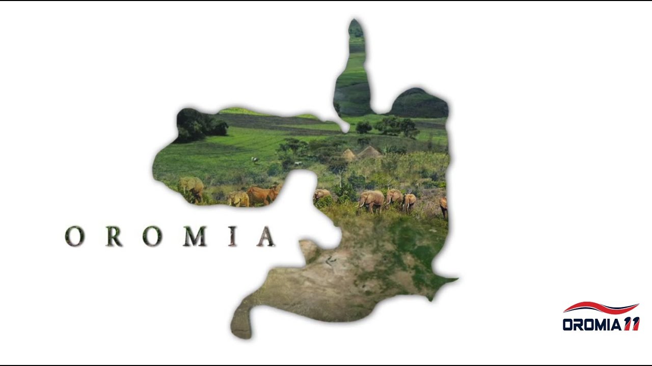 OROMIA11: Oduu 8-5-2025 - OROMIA11- Inform. Educate. Entertain. Inspire