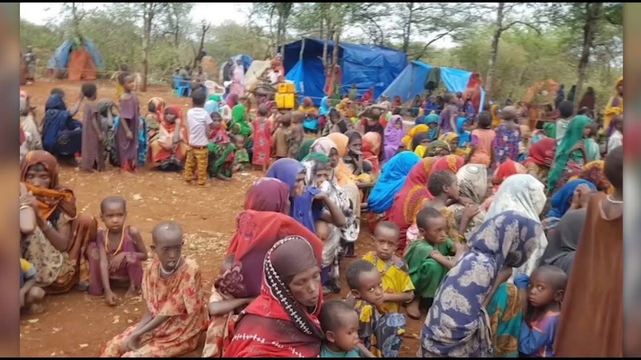 OROMIA11: Oduu Torbaanii 8-24-2025 - OROMIA11- Inform. Educate ...