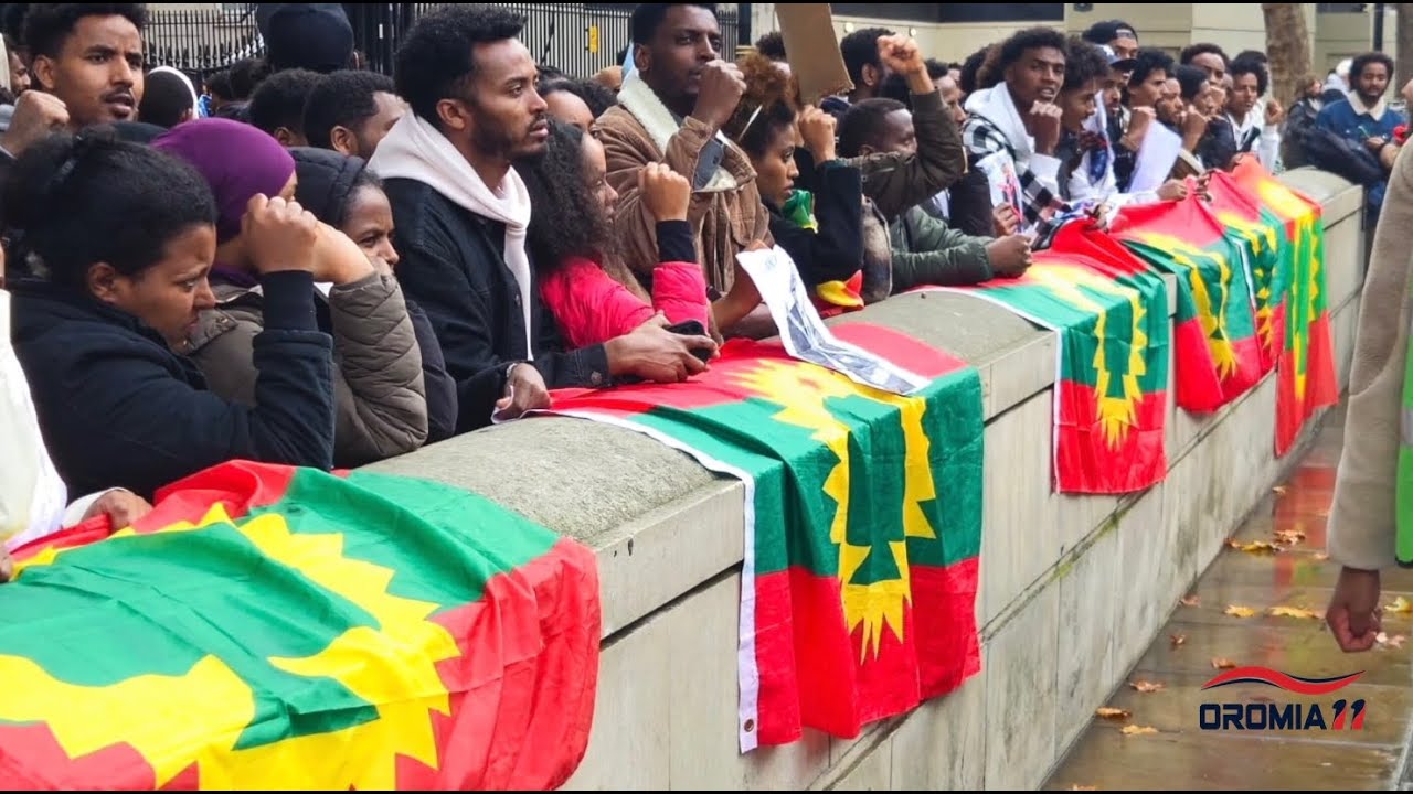 OROMIA11: Oduu 11-11-2025 - OROMIA11- Inform. Educate. Entertain. Inspire