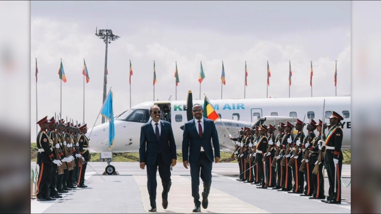 OROMIA11: Oduu 12-19-2025 - OROMIA11- Inform. Educate. Entertain. Inspire